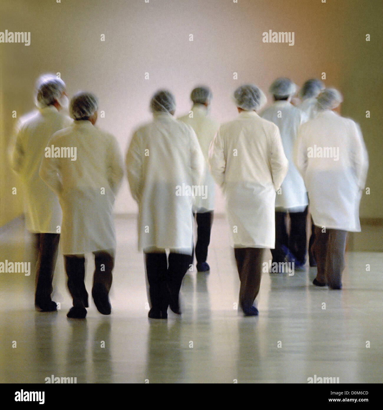 Researchers Walk Down the Hallway Stock Photo - Alamy