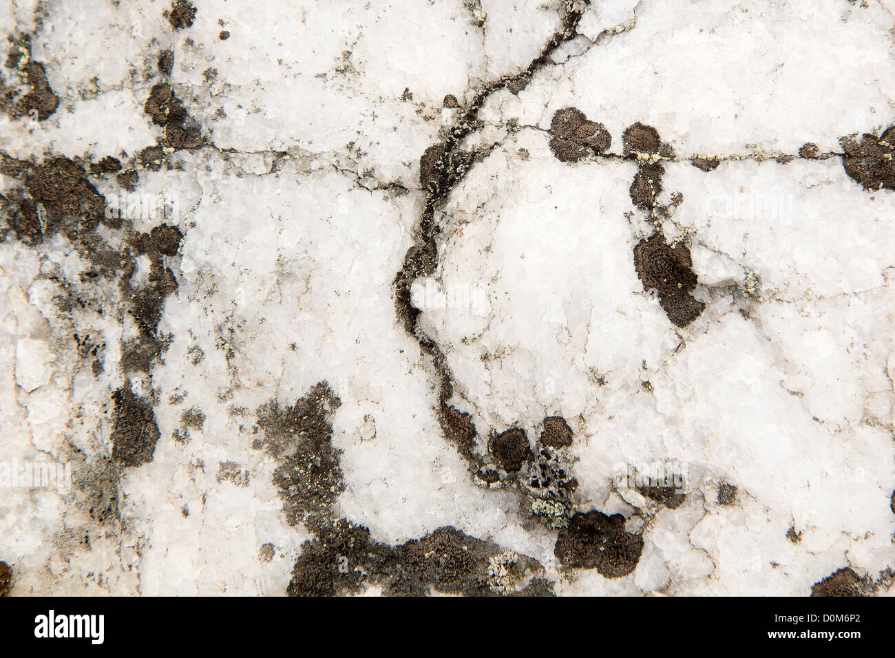 white quartz stone in nature. Natural texture Stock Photo - Alamy