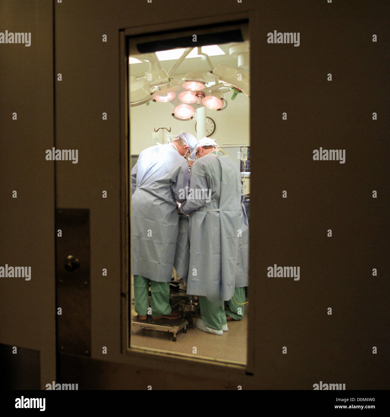 Surgery Seen Through Operating Room Window Stock Photo - Alamy