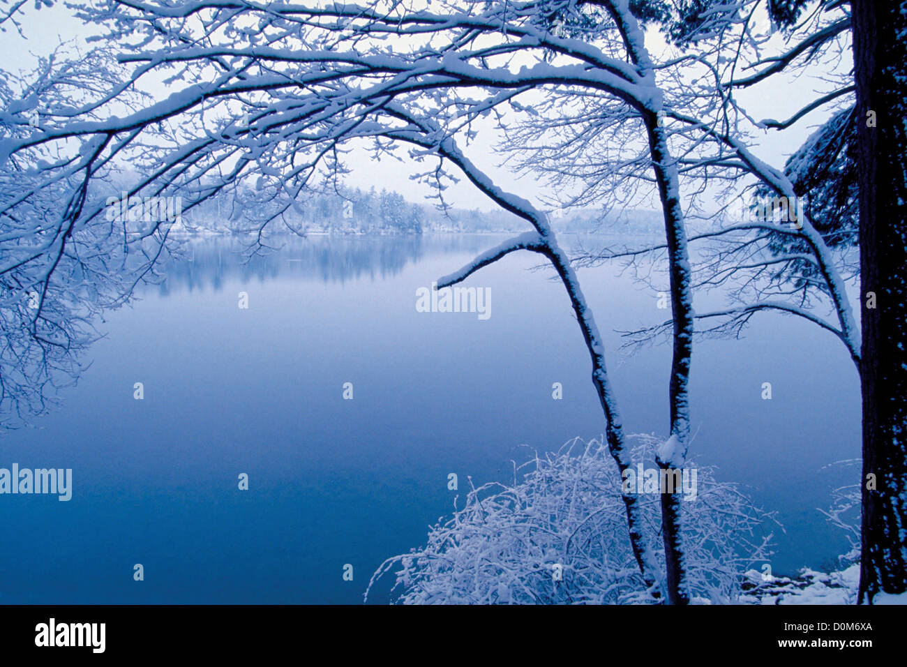 Winter Wonderland at Walden Pond Stock Photo - Alamy
