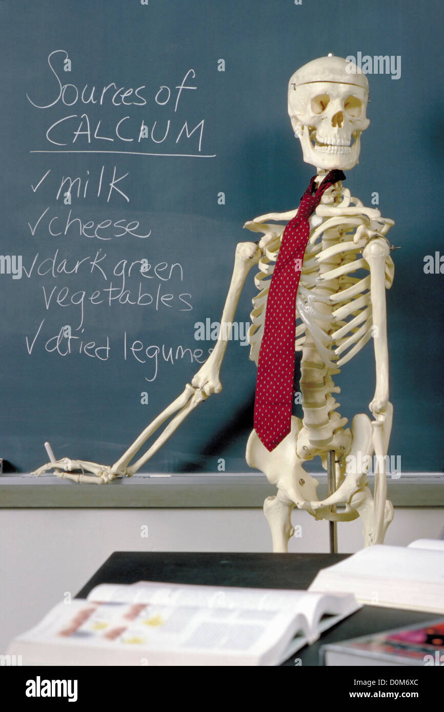 Skeleton Teaches About Foods with Calcium Stock Photo - Alamy