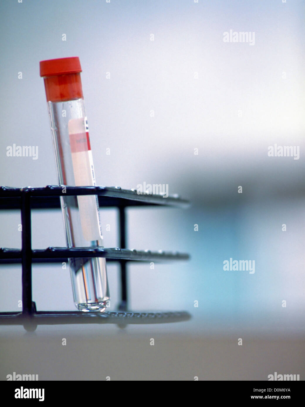 Test Tube in Rack Stock Photo - Alamy