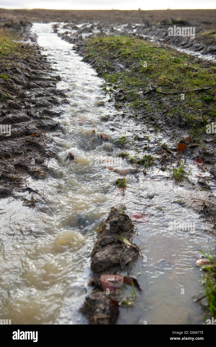 Rain water running off farmland, Norfolk,England, November Stock Photo ...
