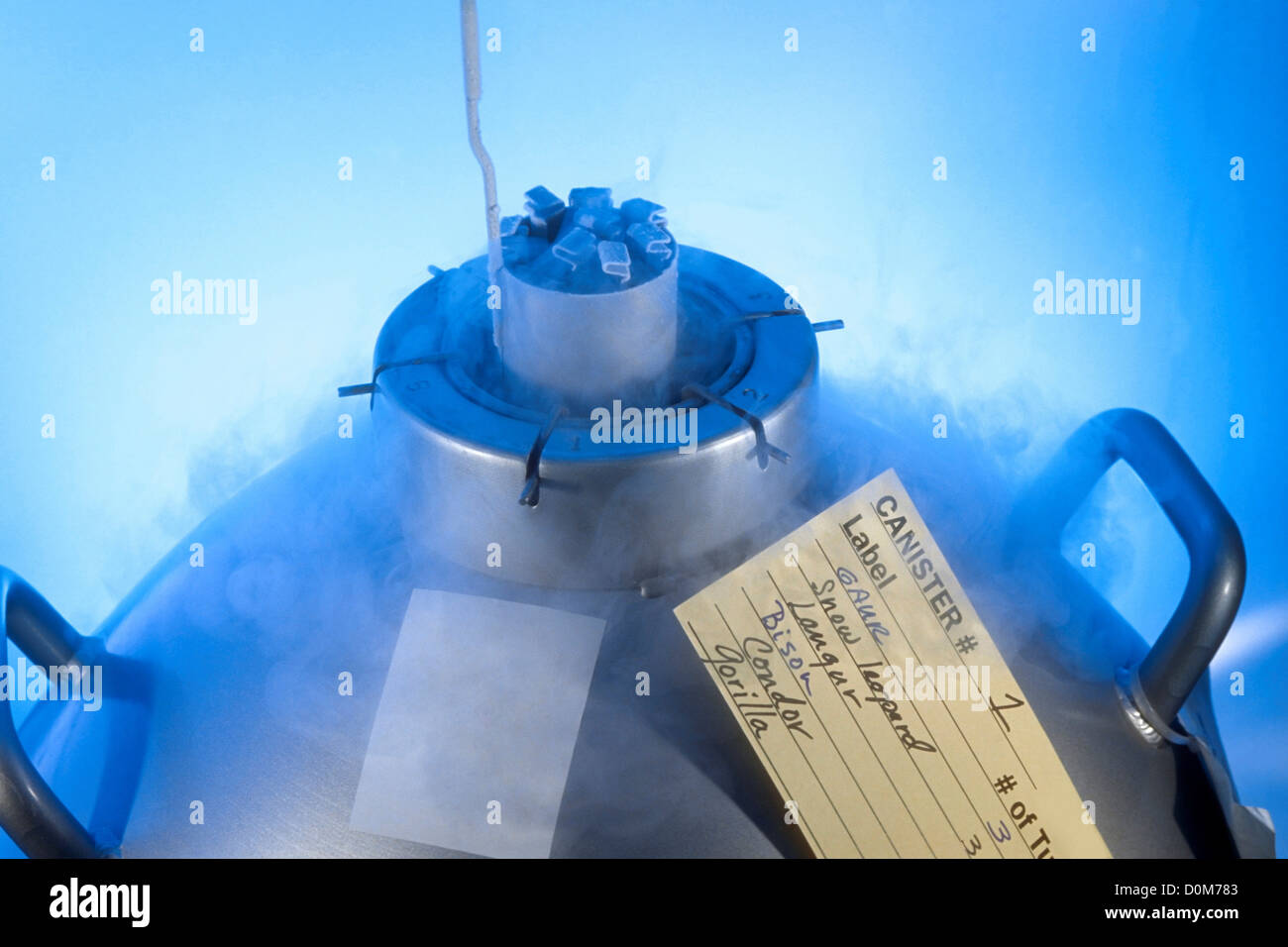 Cryogenically Preserved Endangered Animals Stock Photo - Alamy