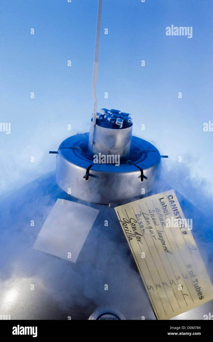 Cryogenically hi-res stock photography and images - Alamy