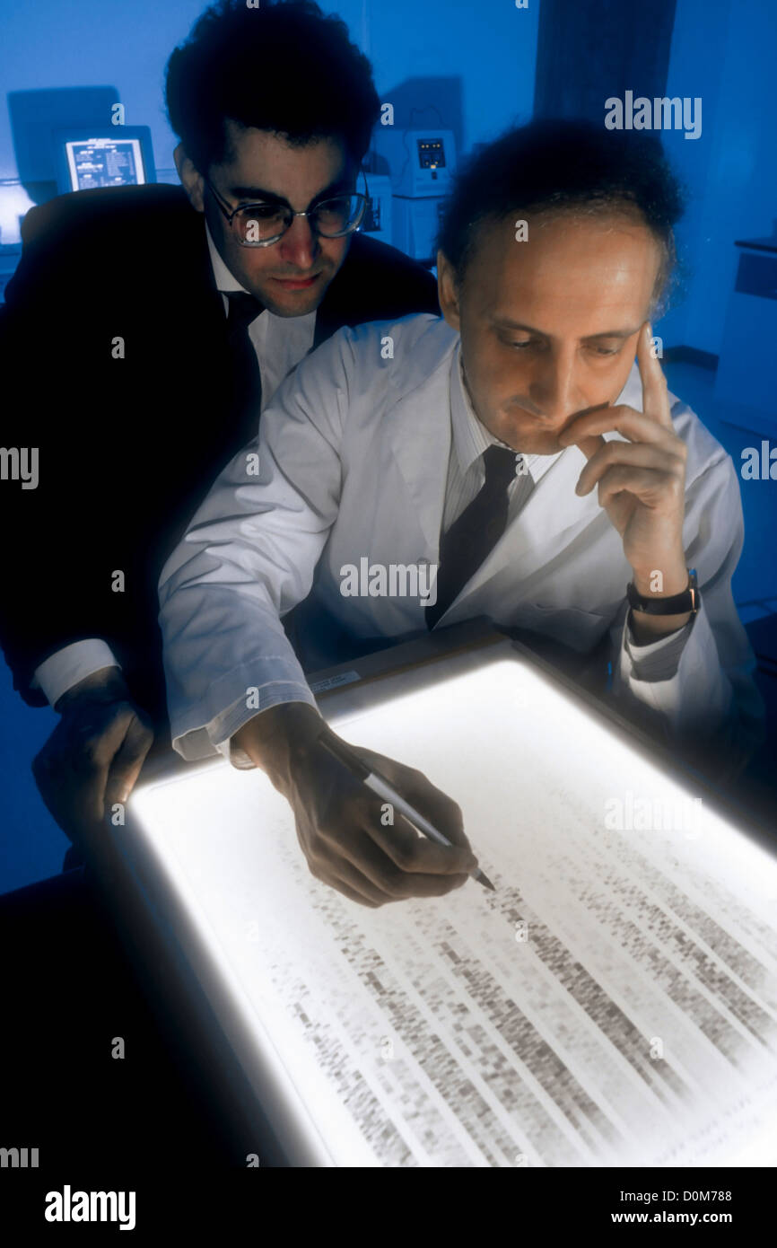 Examining Dna Sequence Stock Photo Alamy