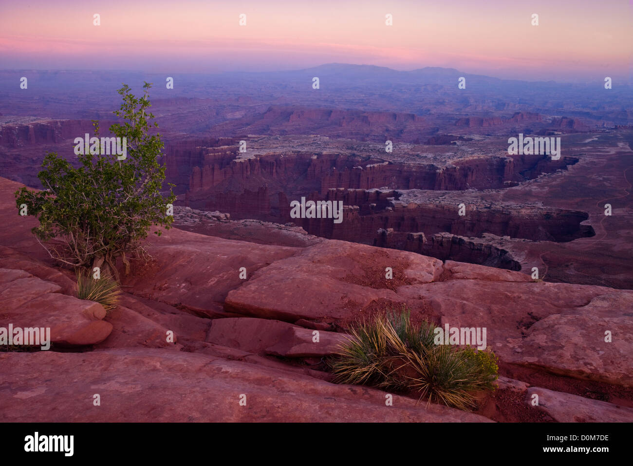 Canyonlands at sunset as seen from the Grand View Point Overlook Stock ...