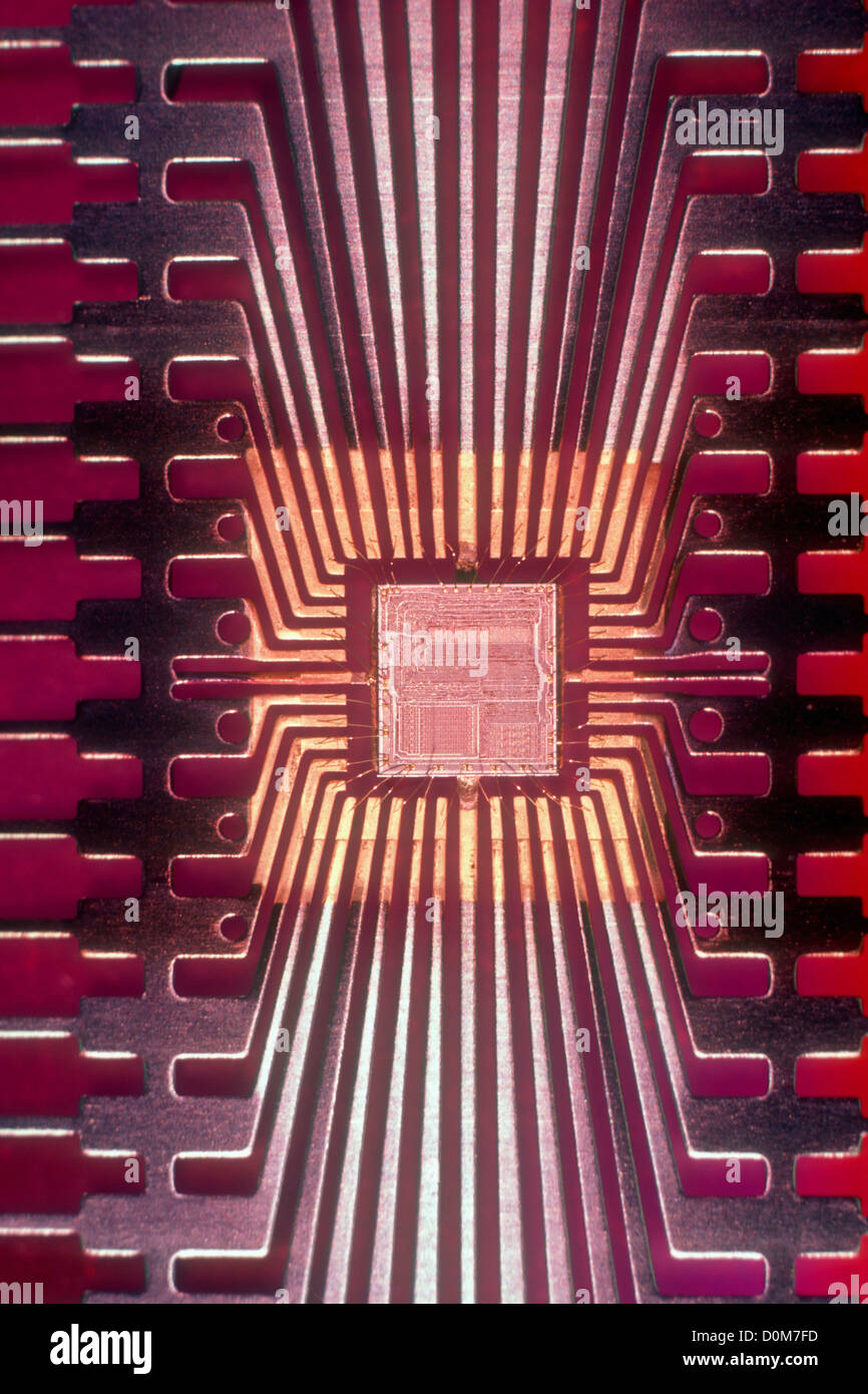 Striking View of a Computer Chip Stock Photo - Alamy