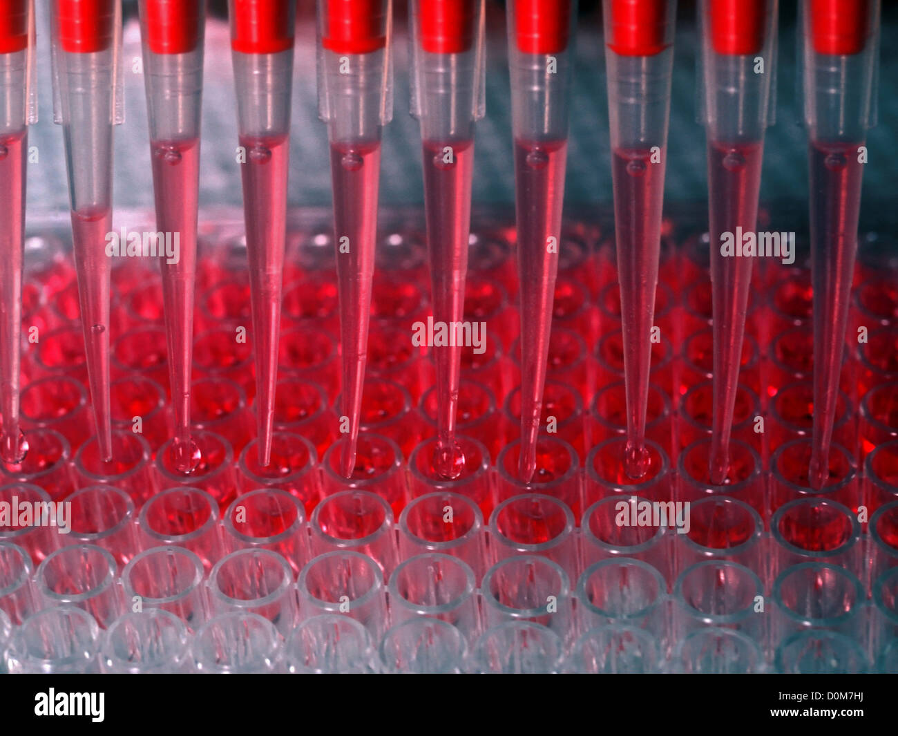 Monoclonal antibodies cell hi-res stock photography and images - Alamy