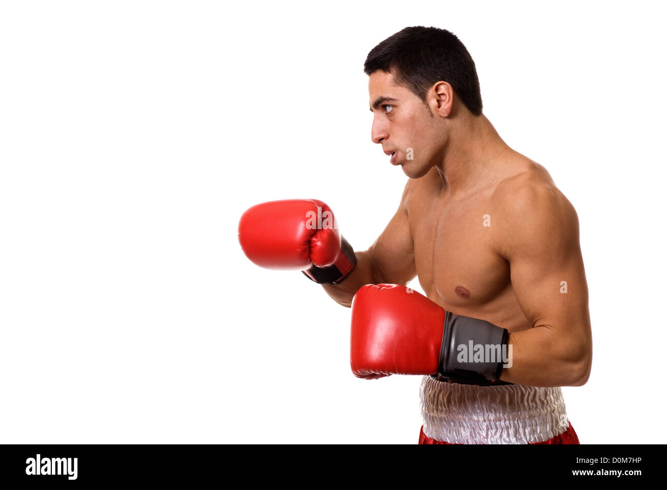 Boxer High Resolution Stock Photography and Images - Alamy