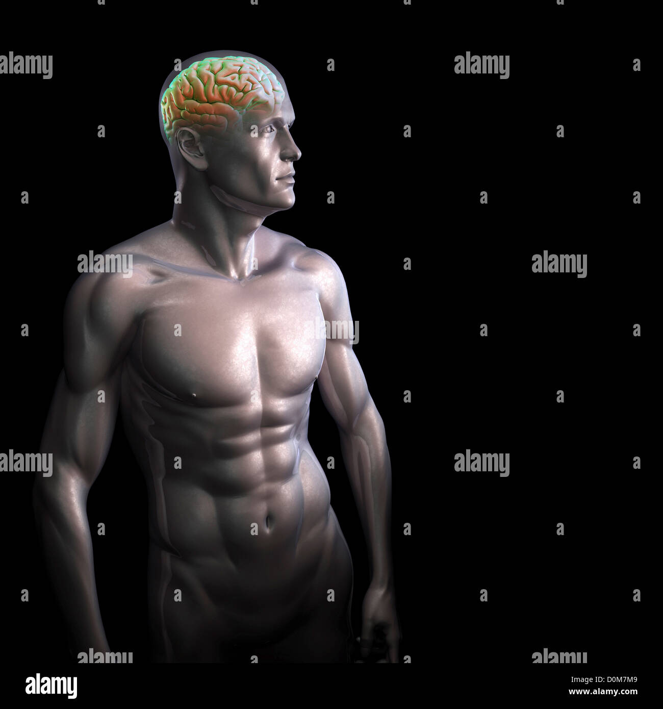 Muscular male body with the brain Stock Photo - Alamy