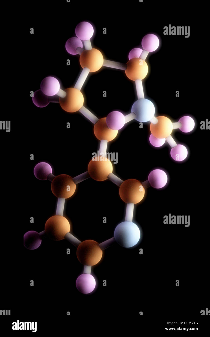 Visualization of the molecular structure of nicotine Stock Photo - Alamy