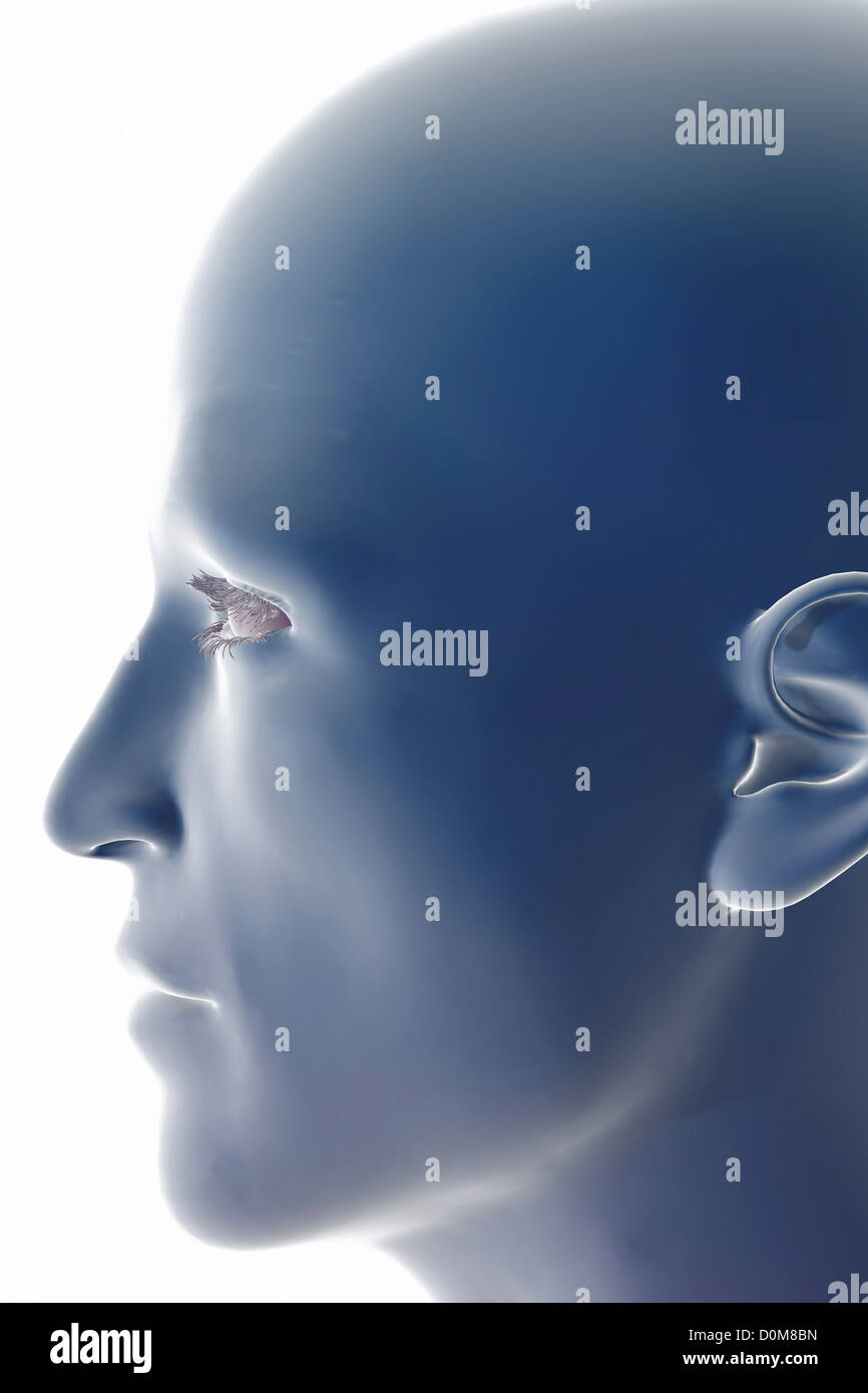 Stylized side profile of a male face Stock Photo - Alamy