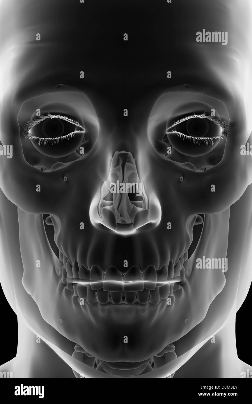 Close up anatomy Black and White Stock Photos & Images - Alamy