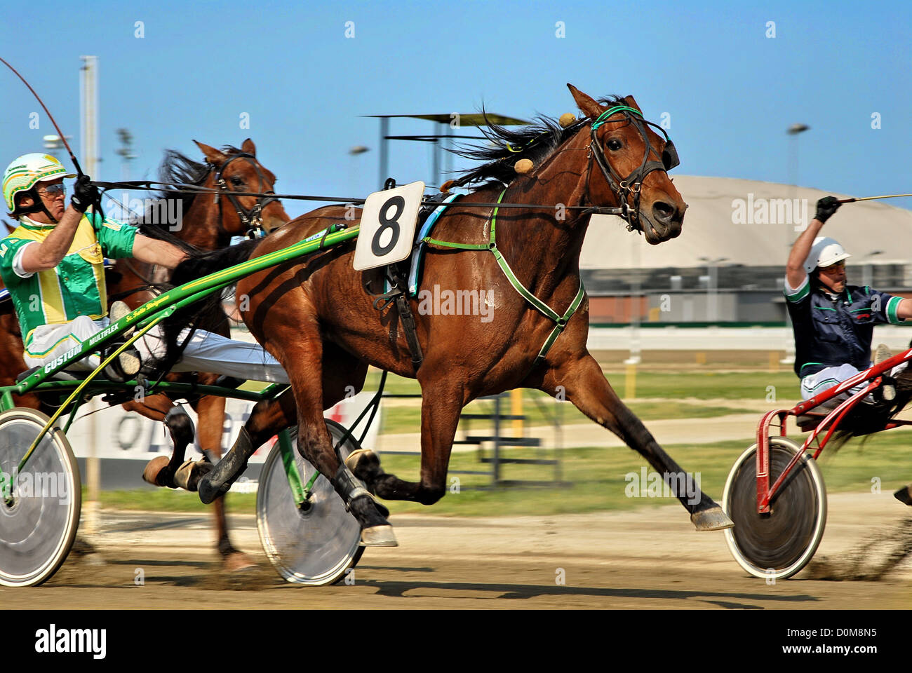 Harness horse race hi-res stock photography and images - Alamy