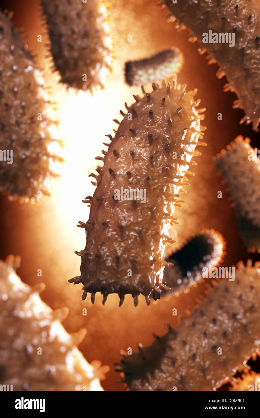 Stylized Rabies virus cells - the cause of the viral neuroinvasive ...