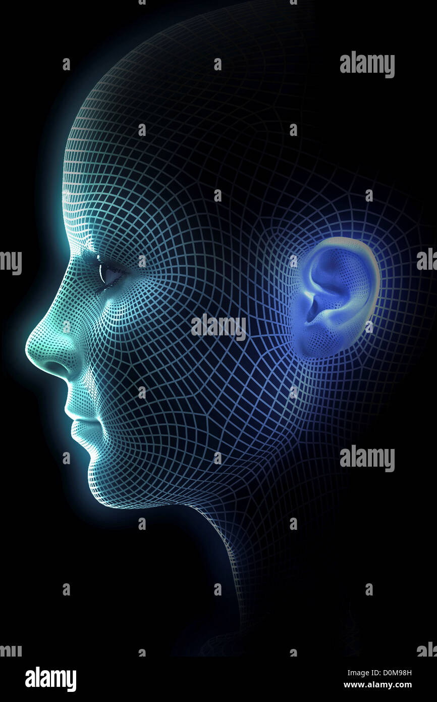 Wireframe side view of a female face Stock Photo - Alamy