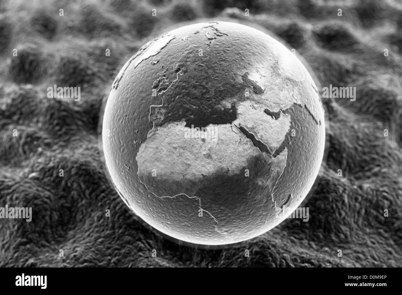Environmental scanning electron microscope Black and White Stock Photos ...