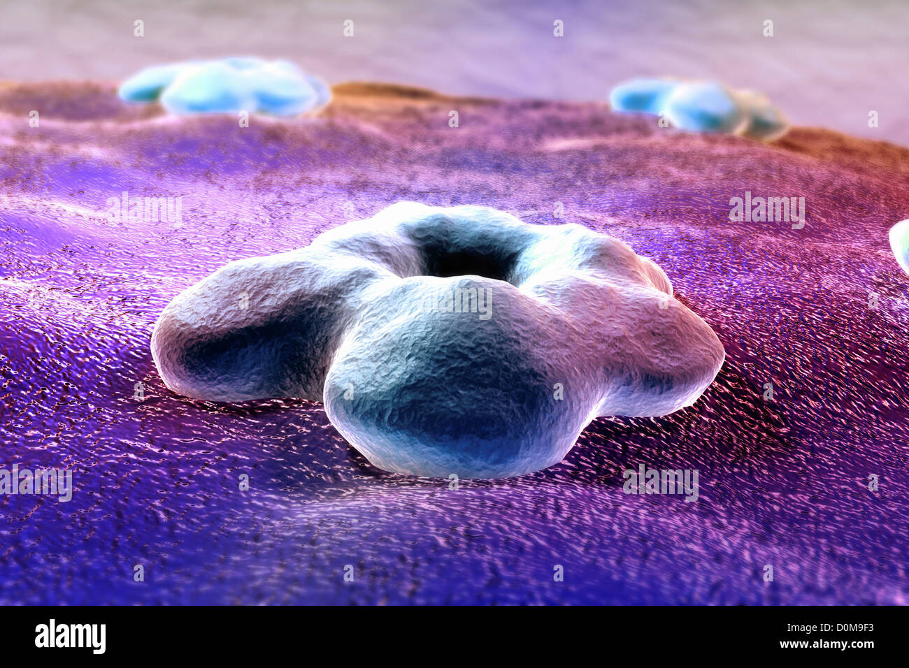 Cell receptors embedded on a cellular membrane Stock Photo - Alamy
