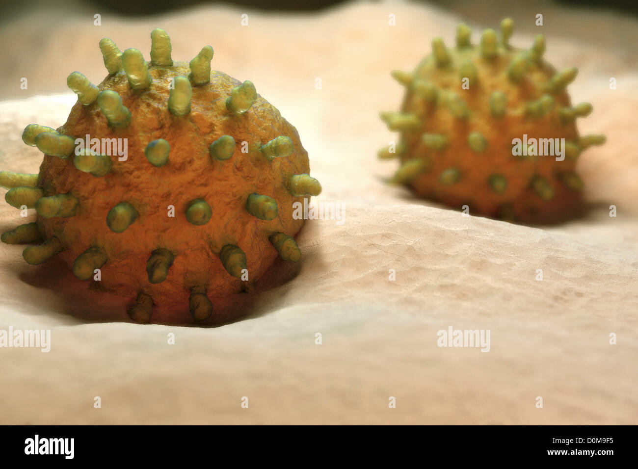 Avian flu virus particles sitting on a cellular structure Stock Photo ...