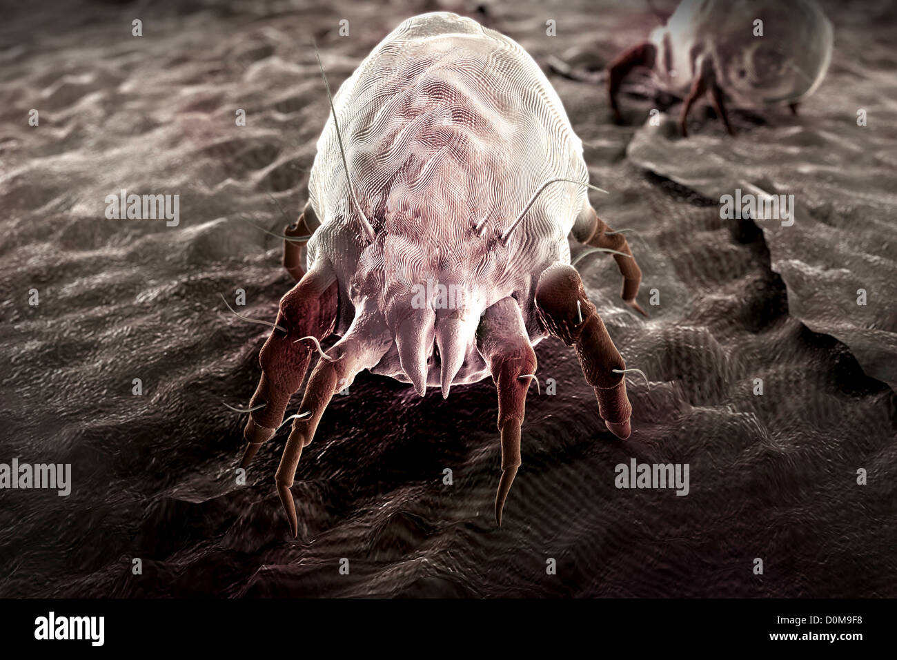 Microscopic styled visualization of a dust mite which is associated ...