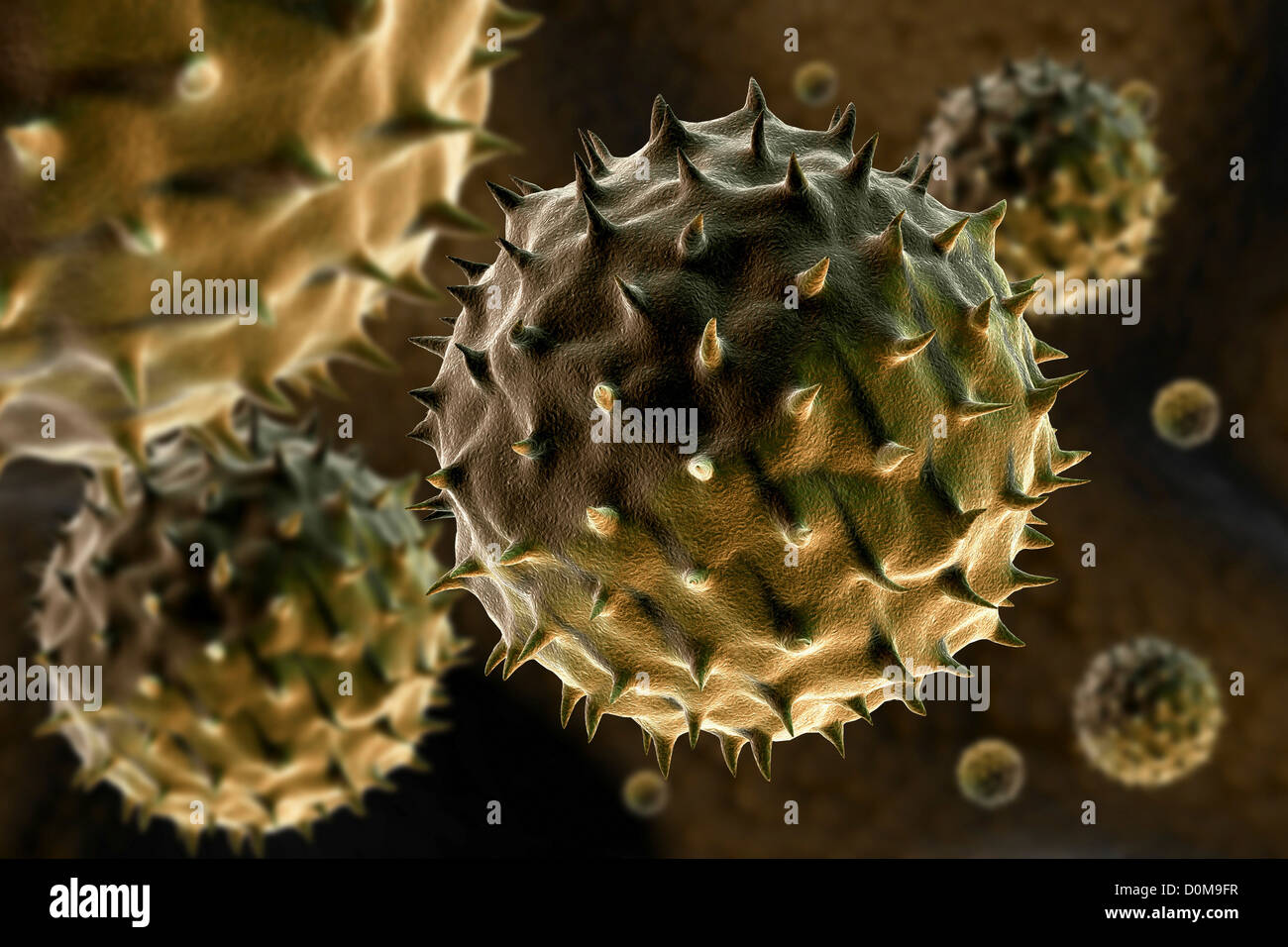 Collection of pollen grain which is related to allergies Stock Photo ...