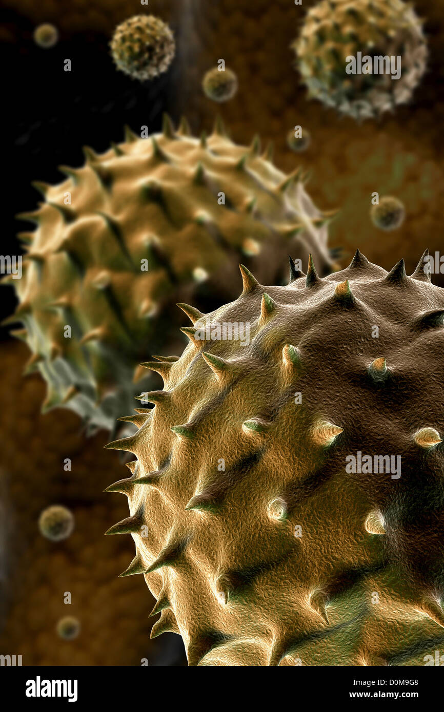 Collection of pollen grain which is related to allergies Stock Photo ...