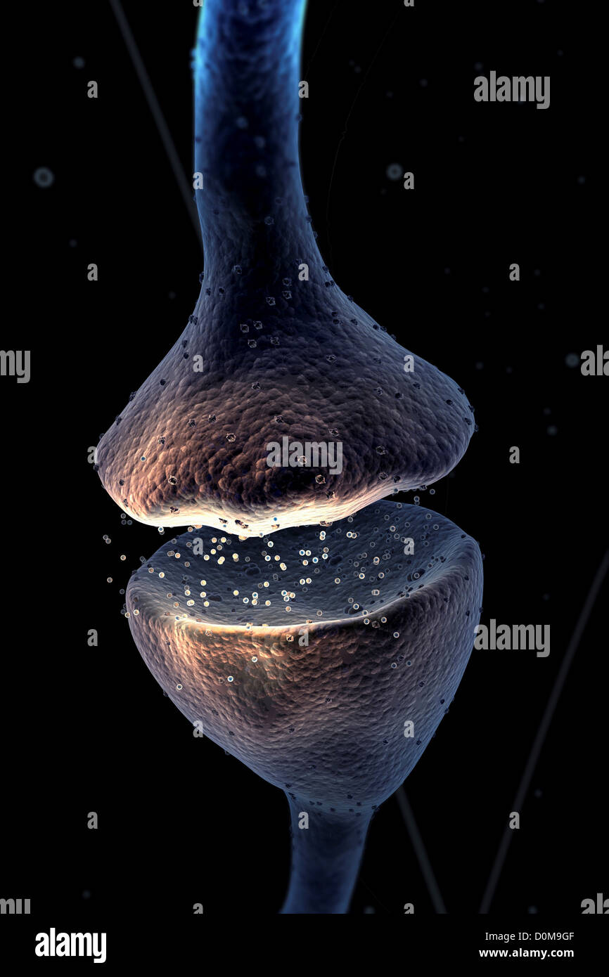 Microscopic styled visualization of a synapse Stock Photo - Alamy