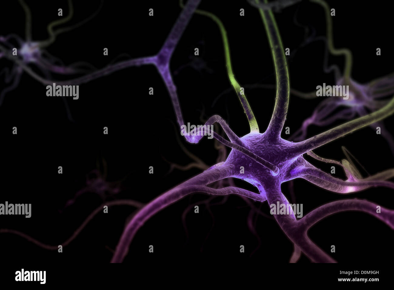 Stylized neuron cells from within the human nervous system Stock Photo ...