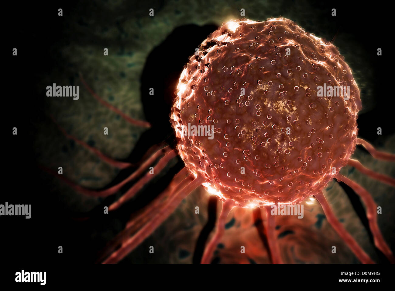 Stem cell processes hi-res stock photography and images - Alamy