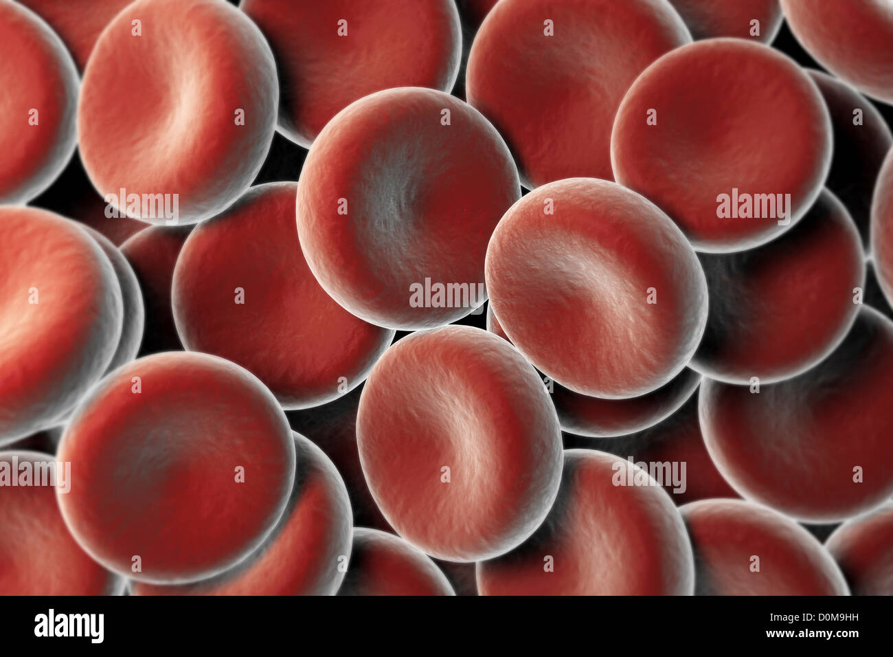 Scanning electromicrograph styled red blood cells Stock Photo - Alamy