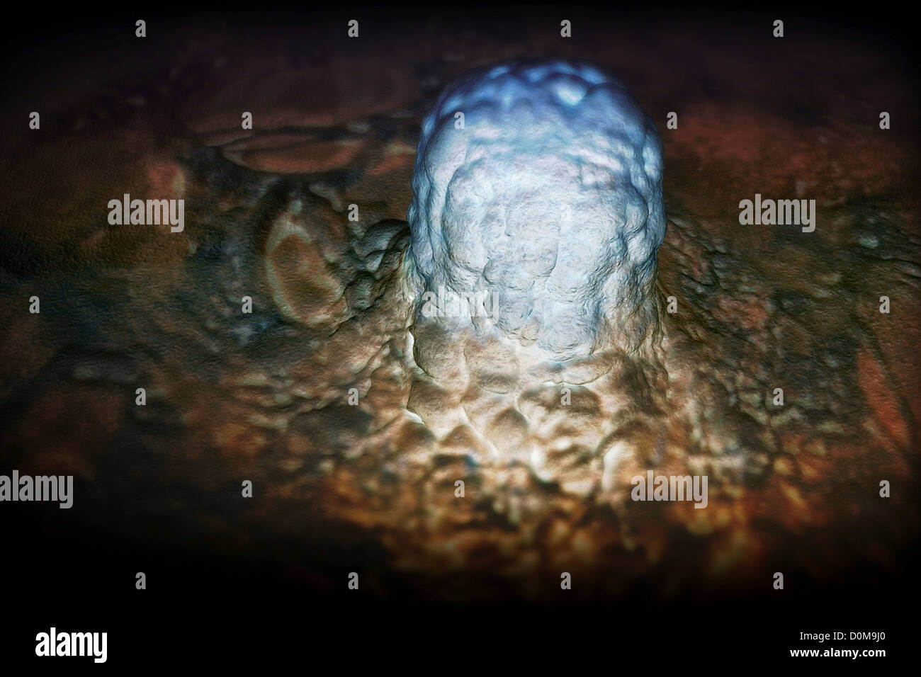 Stylized microscopic view of a stem cell Stock Photo - Alamy