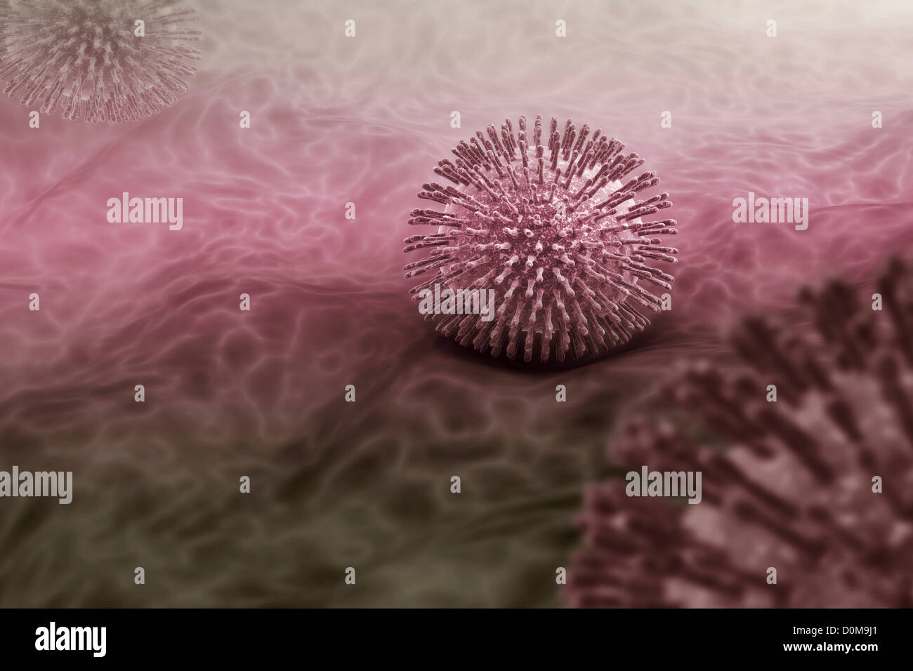 Avian influenzavirus hi-res stock photography and images - Alamy