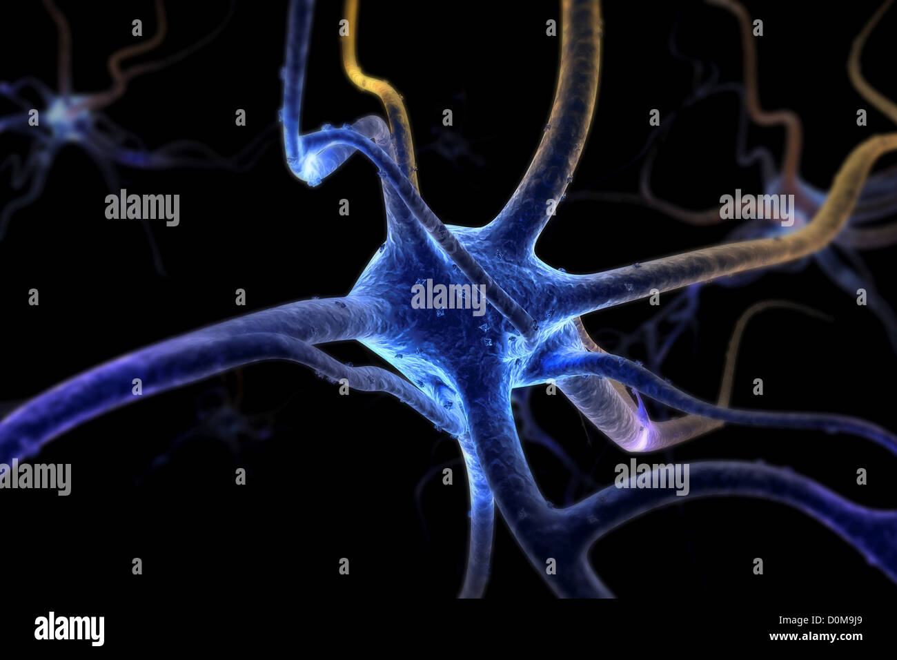 Stylized neuron cells from within the human nervous system Stock Photo ...