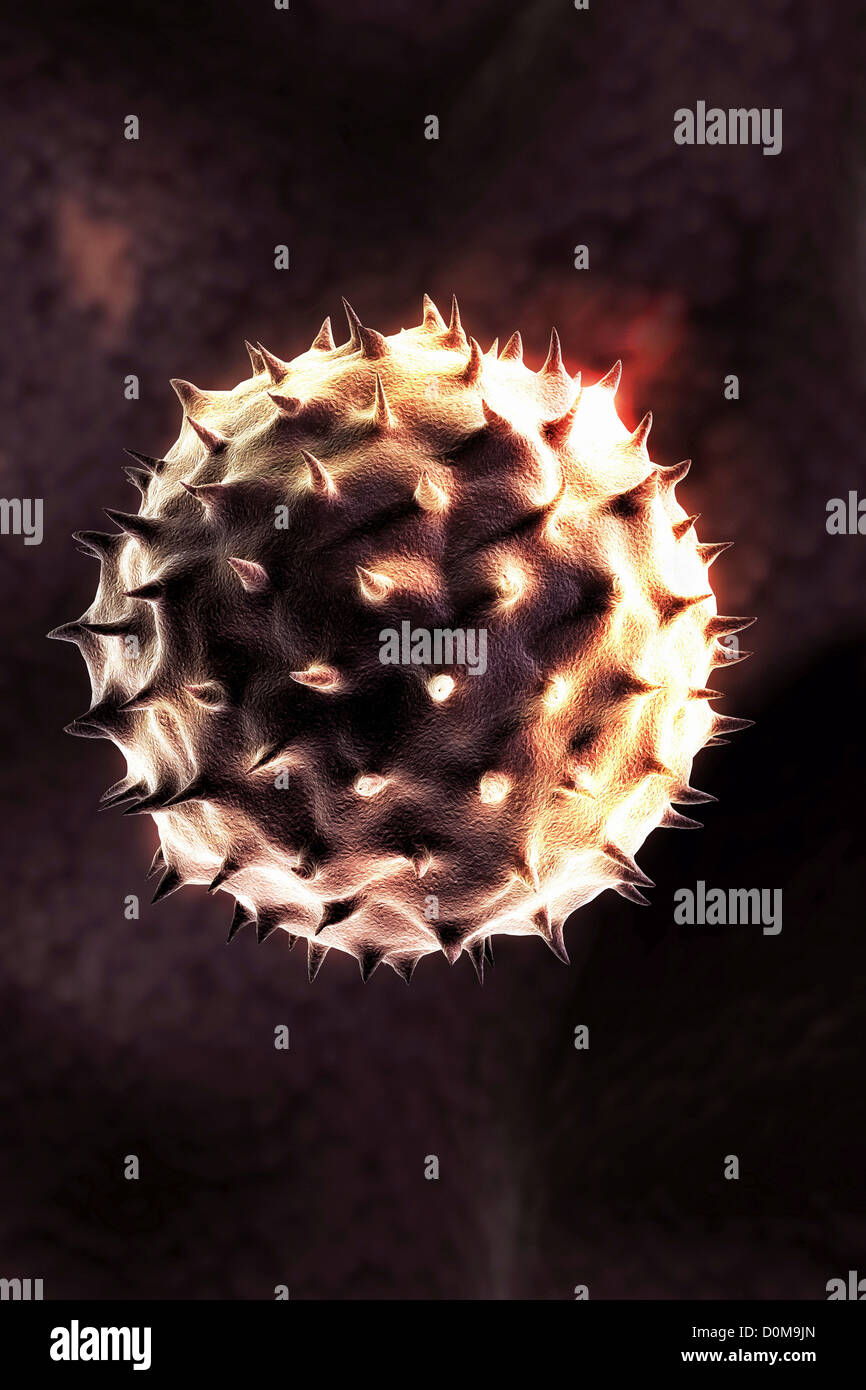 Pollen grain hi-res stock photography and images - Alamy