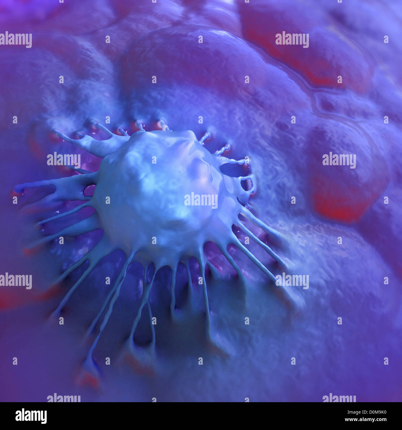 Microscopic styled view of a stem cell Stock Photo - Alamy