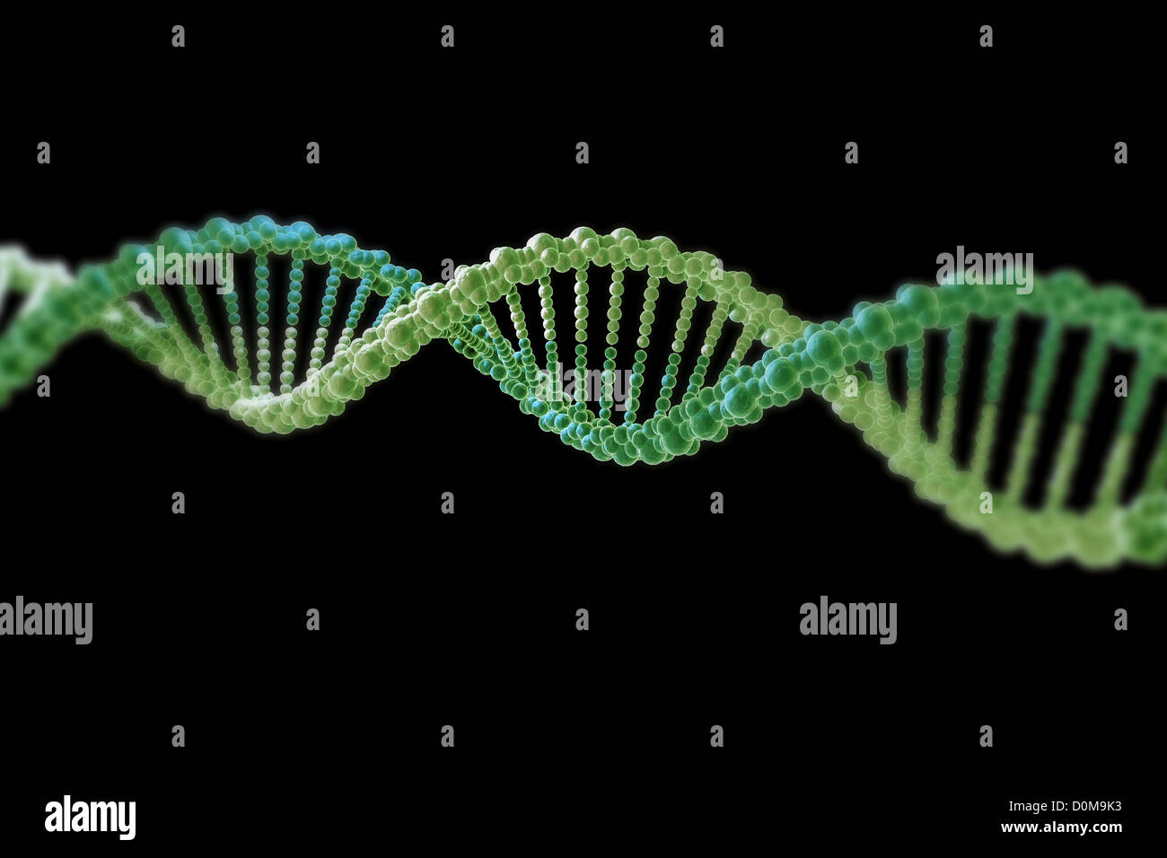 Stylized view of strands of human DNA or deoxyribonucleic acid Stock ...