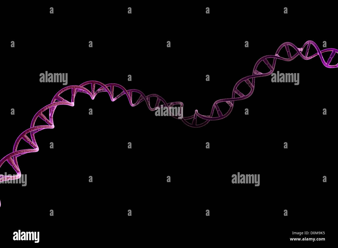 Stylized view of strands of human DNA or deoxyribonucleic acid Stock ...