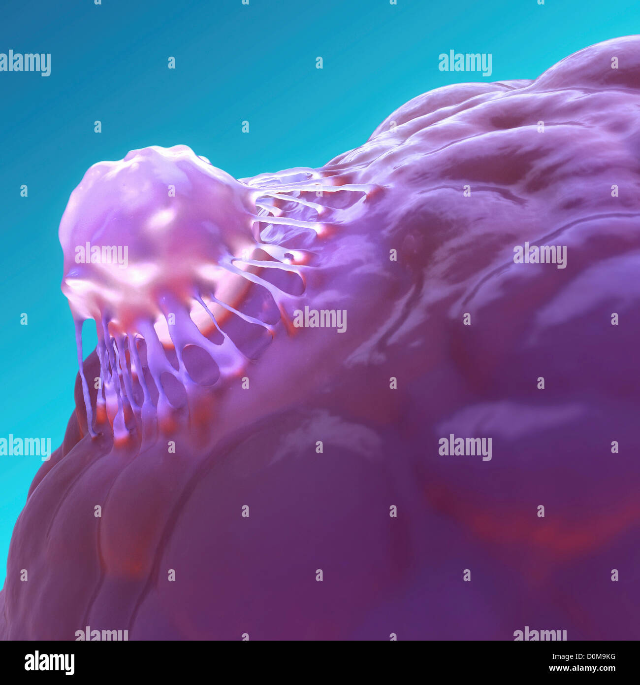 Stem cell processes hi-res stock photography and images - Alamy
