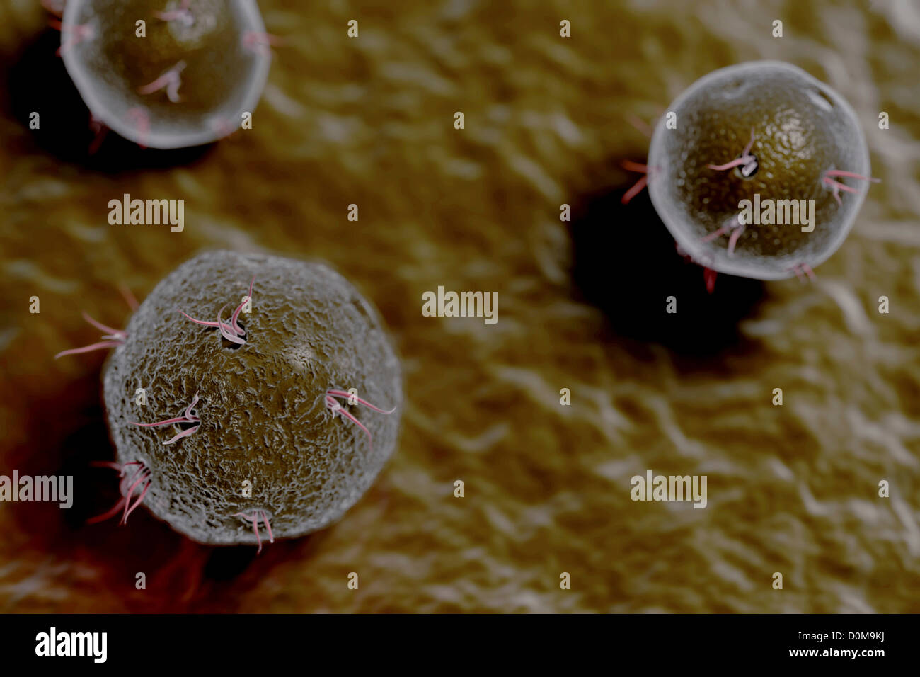 Stylized close up of generic virus particles Stock Photo - Alamy