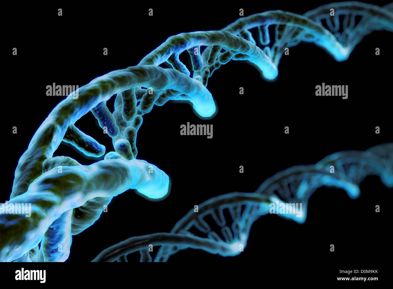 Stylized view of strands of human DNA or deoxyribonucleic acid Stock ...