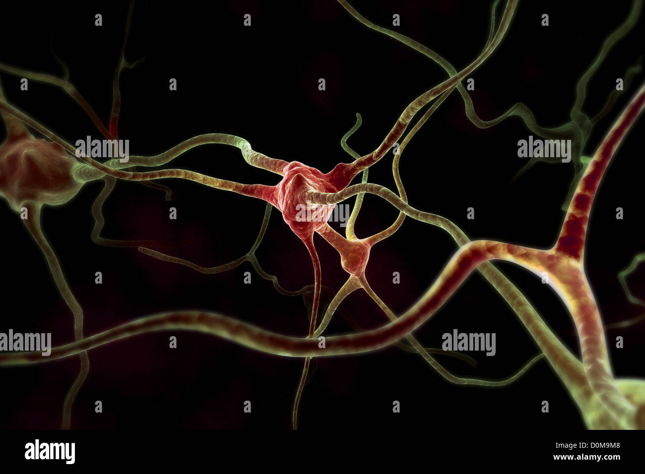 Microscopic styled visualization of neurons Stock Photo - Alamy