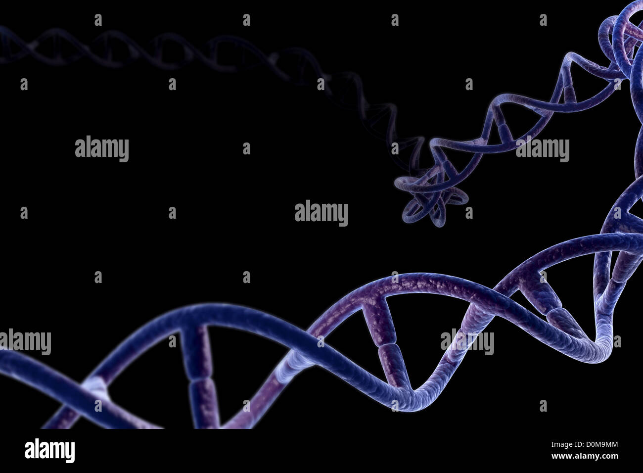 Stylized view of strands of human DNA or deoxyribonucleic acid Stock ...