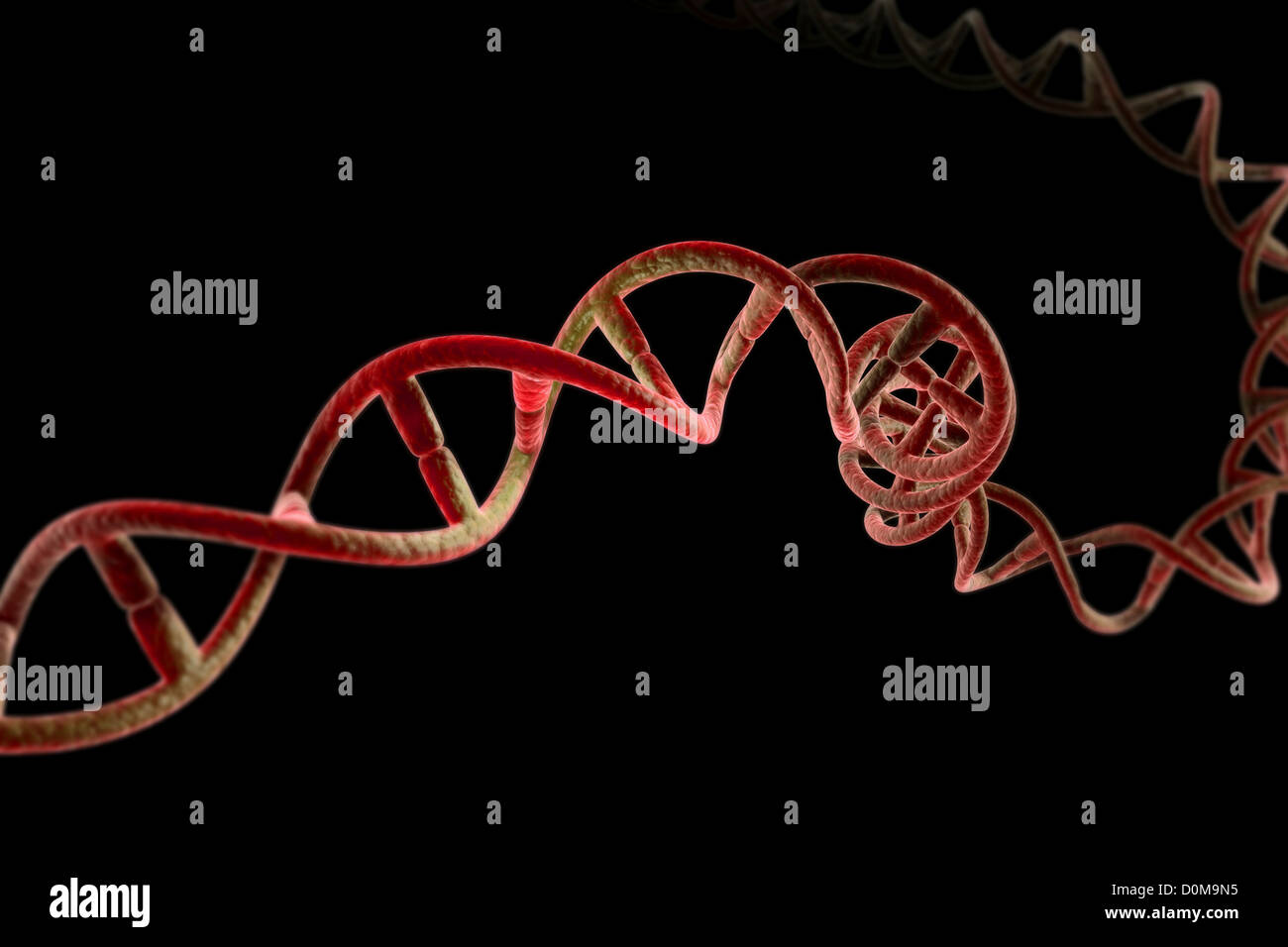 Stylized view of strands of human DNA or deoxyribonucleic acid Stock ...