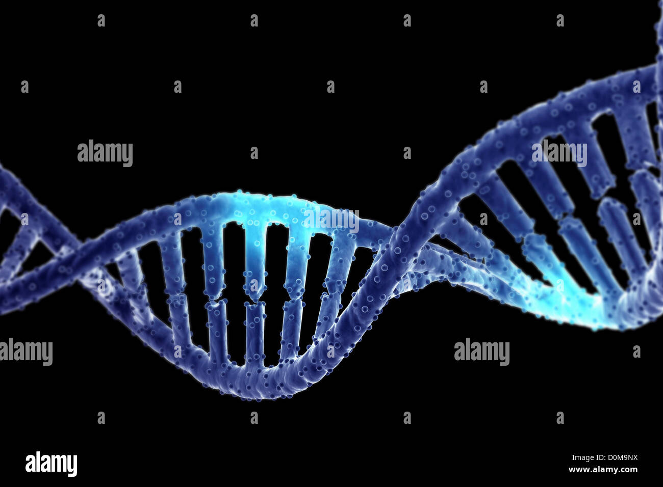 Stylized view of strands of human DNA or deoxyribonucleic acid Stock ...