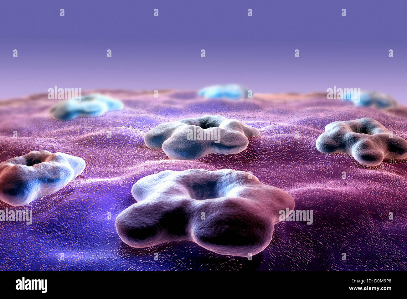 Cell receptors embedded on a cellular membrane Stock Photo - Alamy