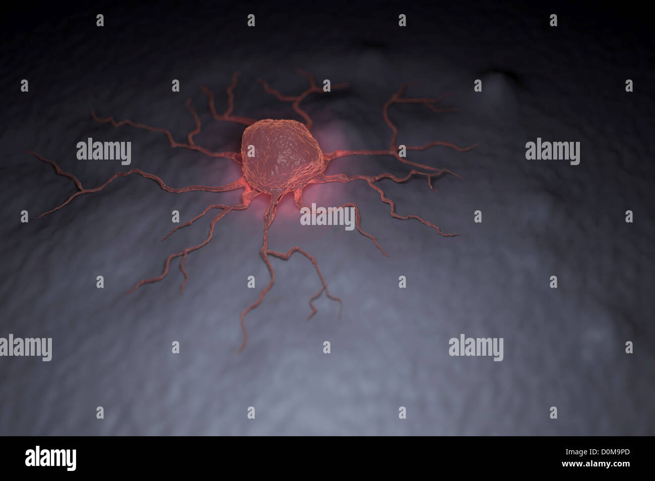 Microscopic styled visualization of a cancer cell Stock Photo - Alamy