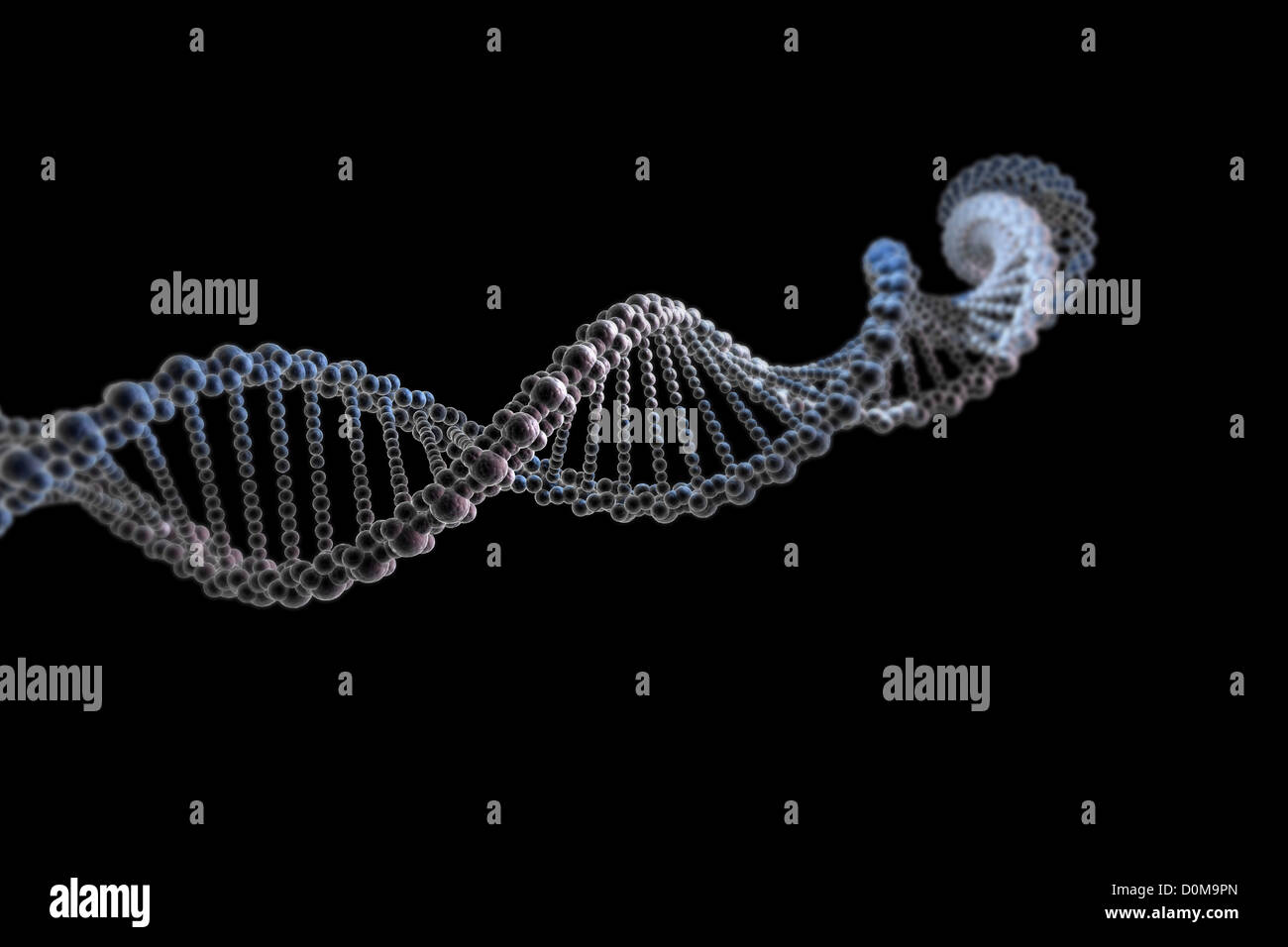 Stylized view of strands of human DNA or deoxyribonucleic acid Stock ...