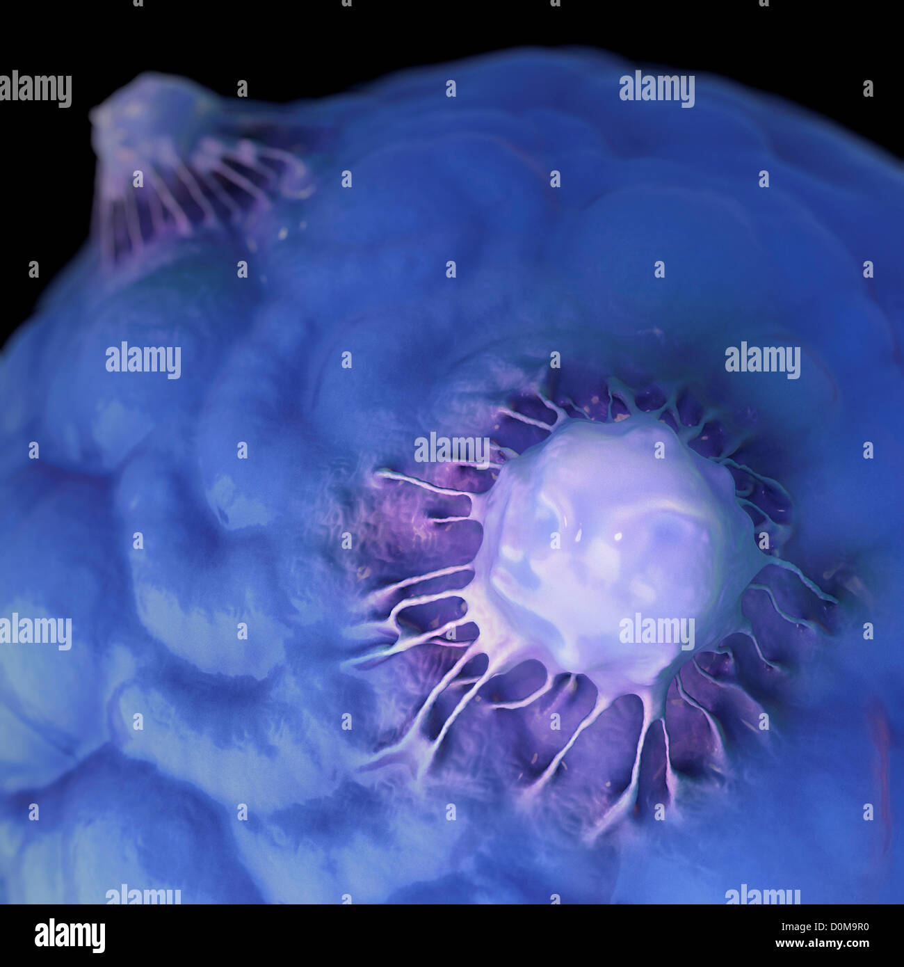Microscopic styled view of a stem cell Stock Photo - Alamy