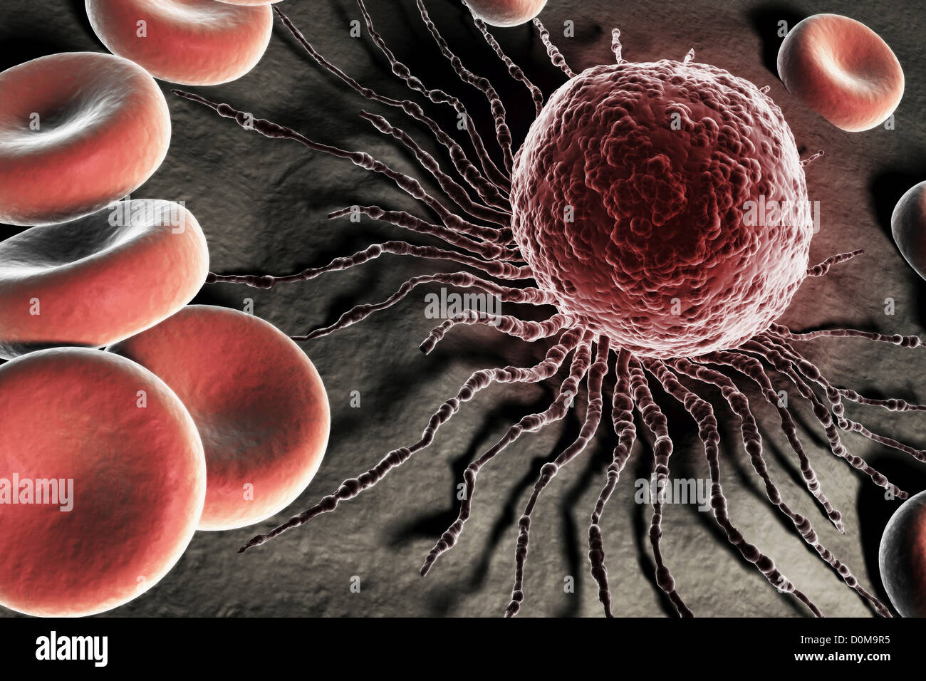 Microscopic styled view of a stem cell Stock Photo - Alamy